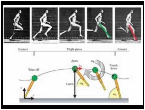 Does “high-knees sprinting” make you faster? – Micro Training