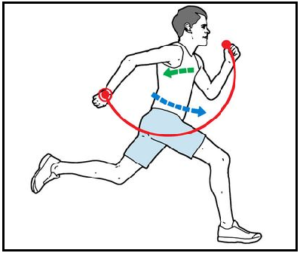 Components of coaching “linear” speed – Micro Training